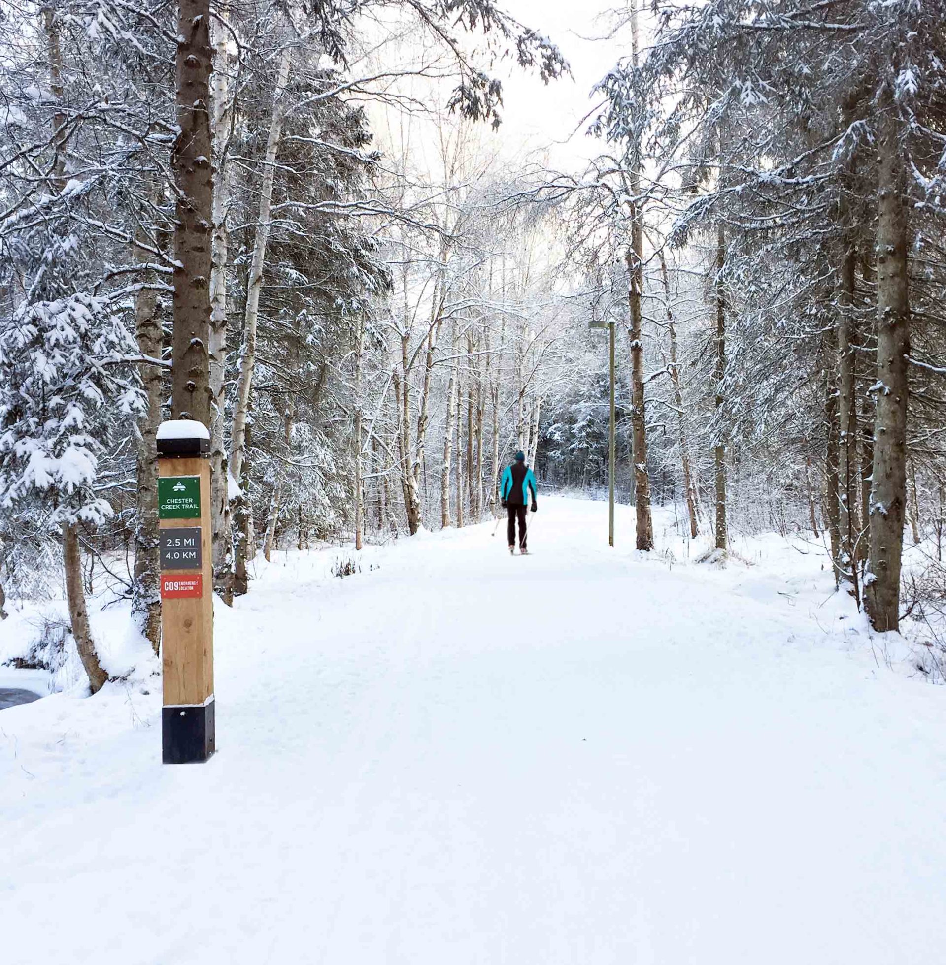 Anchorage Trails | MERJE DESIGN
